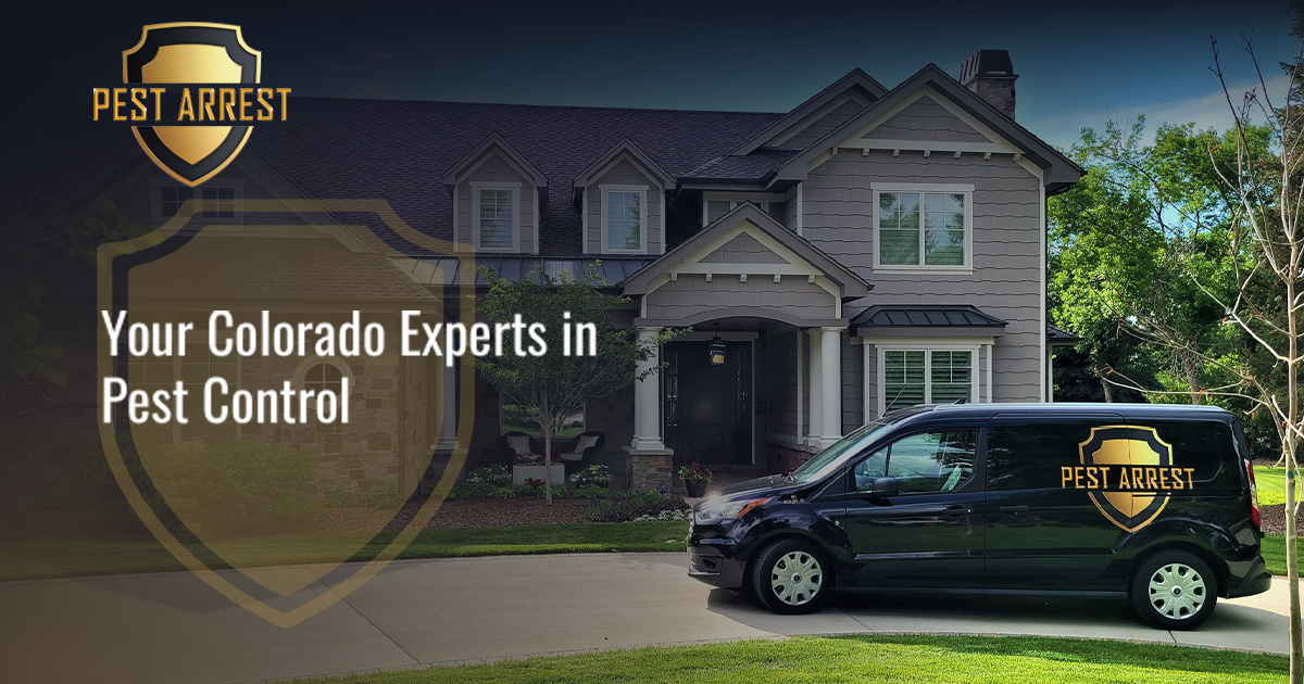 Denver Pest Control | Pest Arrest