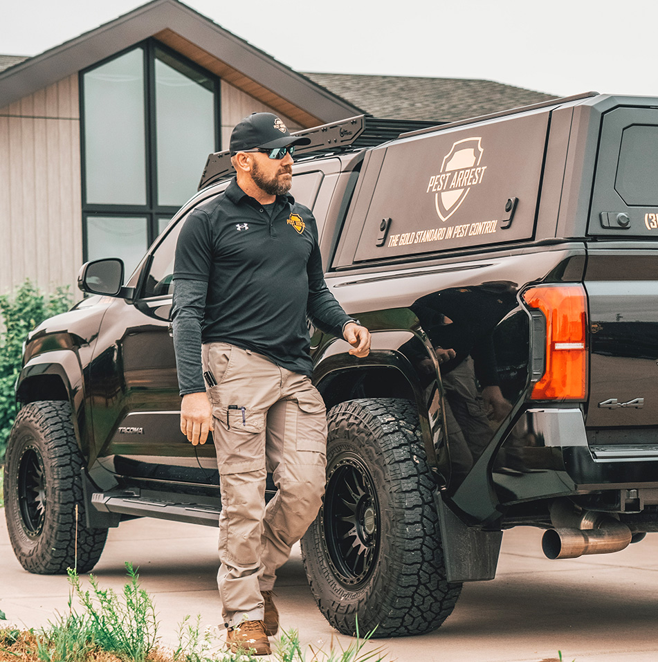 Denver Pest Control | Pest Arrest