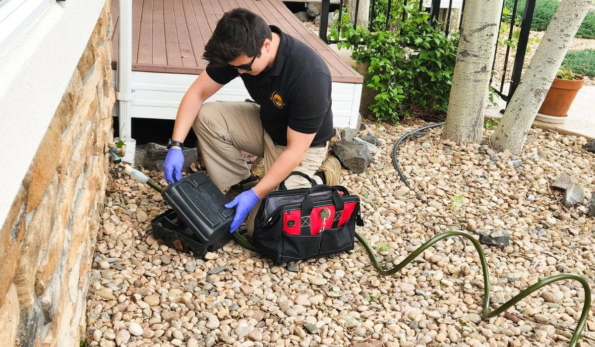 Pest-Proofing In The Cold: 5 Essential Cases For Pest Control
